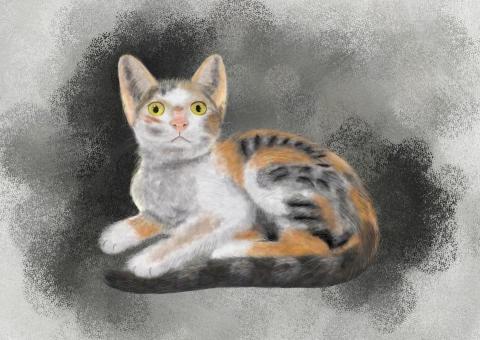 Winnie studio－PRO360