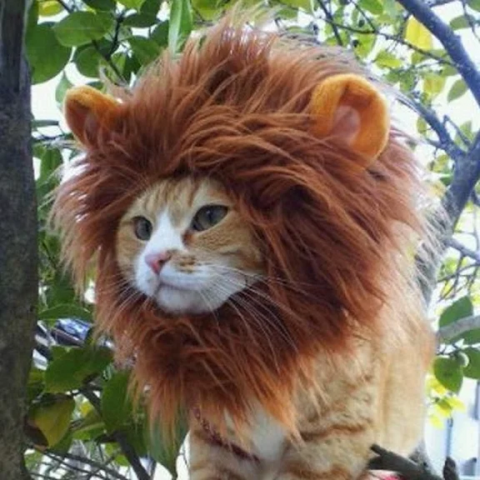 Magic-Green Studio－PRO360